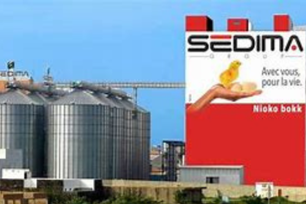 Sedima Group - Le Sénégal à l'export