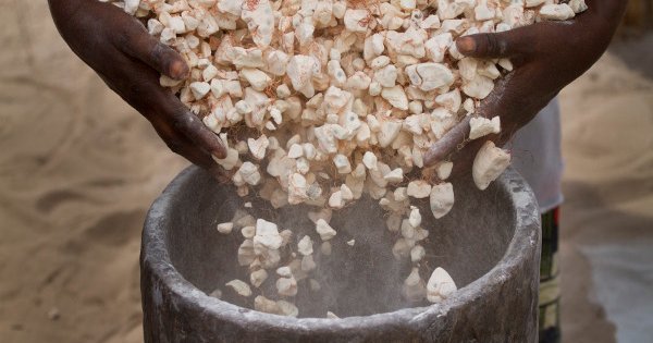Le bouye - Le Sénégal à l'export