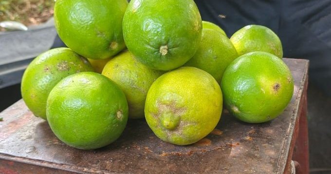 Association And Dolel Niaye Bi (ADN) - Le Sénégal à l'export