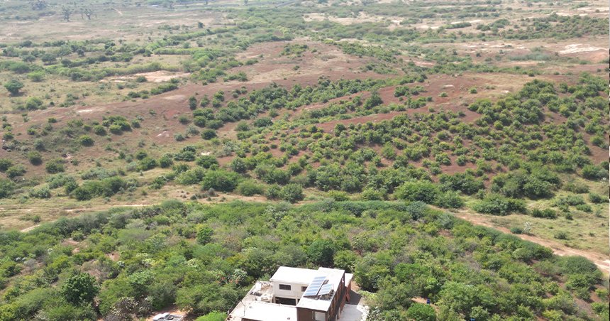 Tabaski 2025 : pourquoi le Sénégal importe-t-il toujours autant de ...